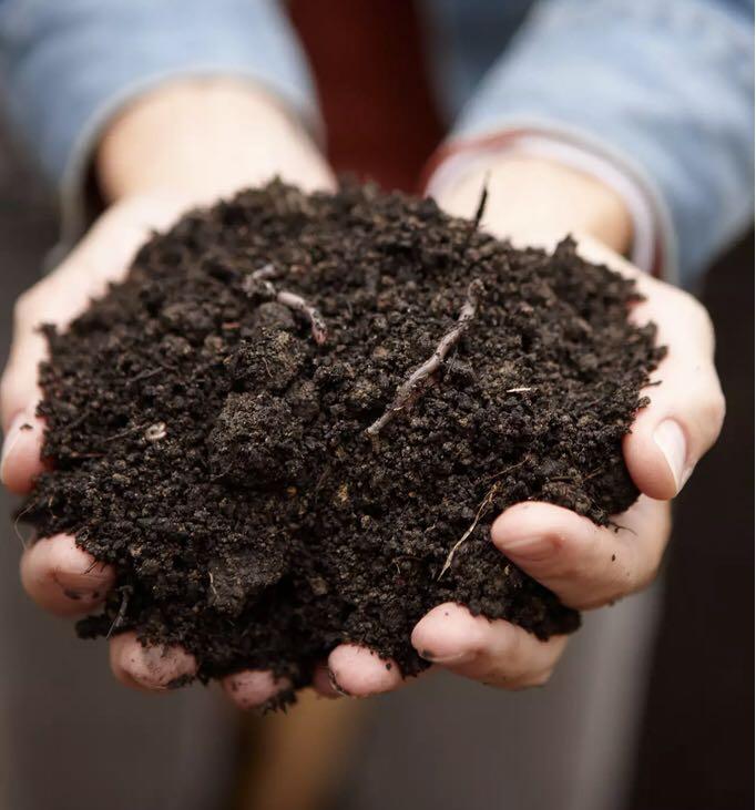 Organic Compost 1kg, Furniture & Home Living, Gardening, Plants & Seeds ...