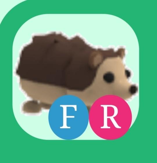 ROBLOX Adopt Me / FR Hedgehog, Video Gaming, Gaming Accessories, In ...