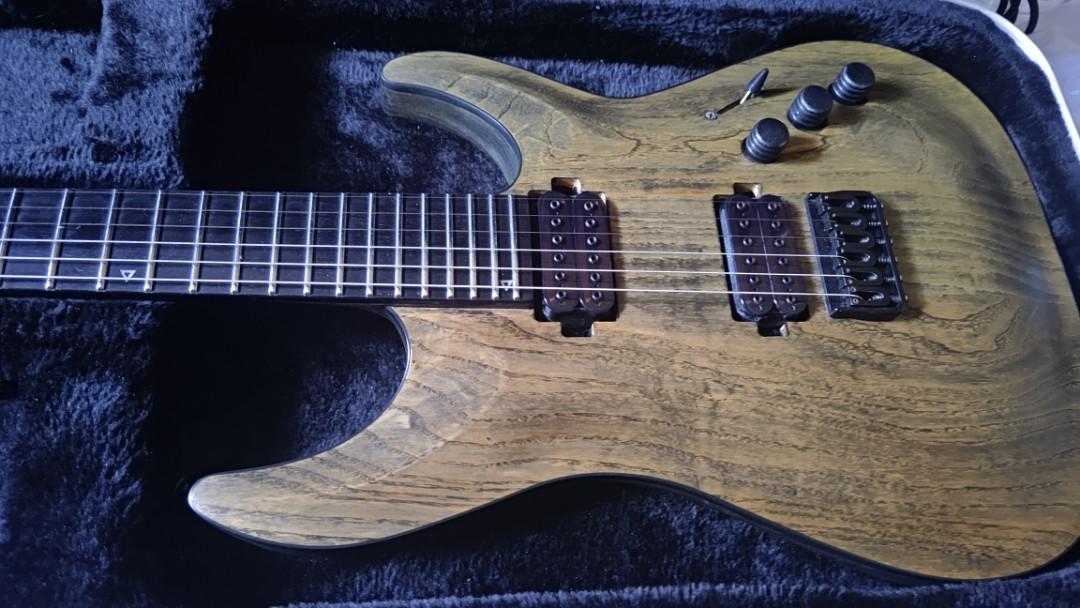 Schecter Apocalypse c1, Hobbies & Toys, Music & Media, Musical ...