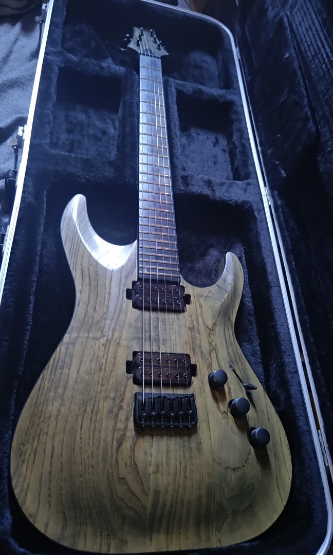 Schecter Apocalypse c1, Hobbies & Toys, Music & Media, Musical ...