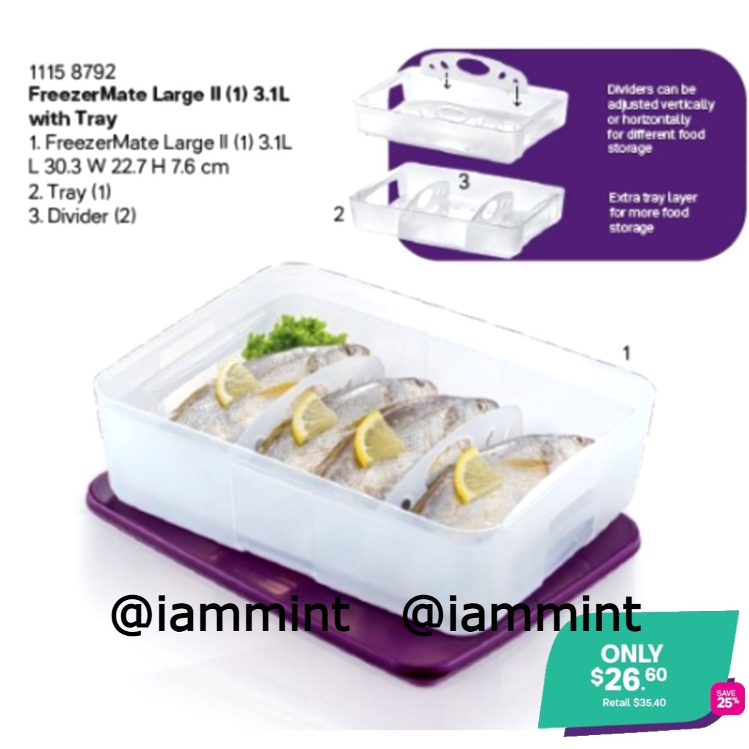 Tupperware 3.1L Freezermate Large II Rectangular Container Box with ...