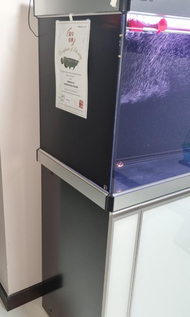 Fish tank 4 feet (Ocean Free), Pet Supplies, Homes & Other Pet ...