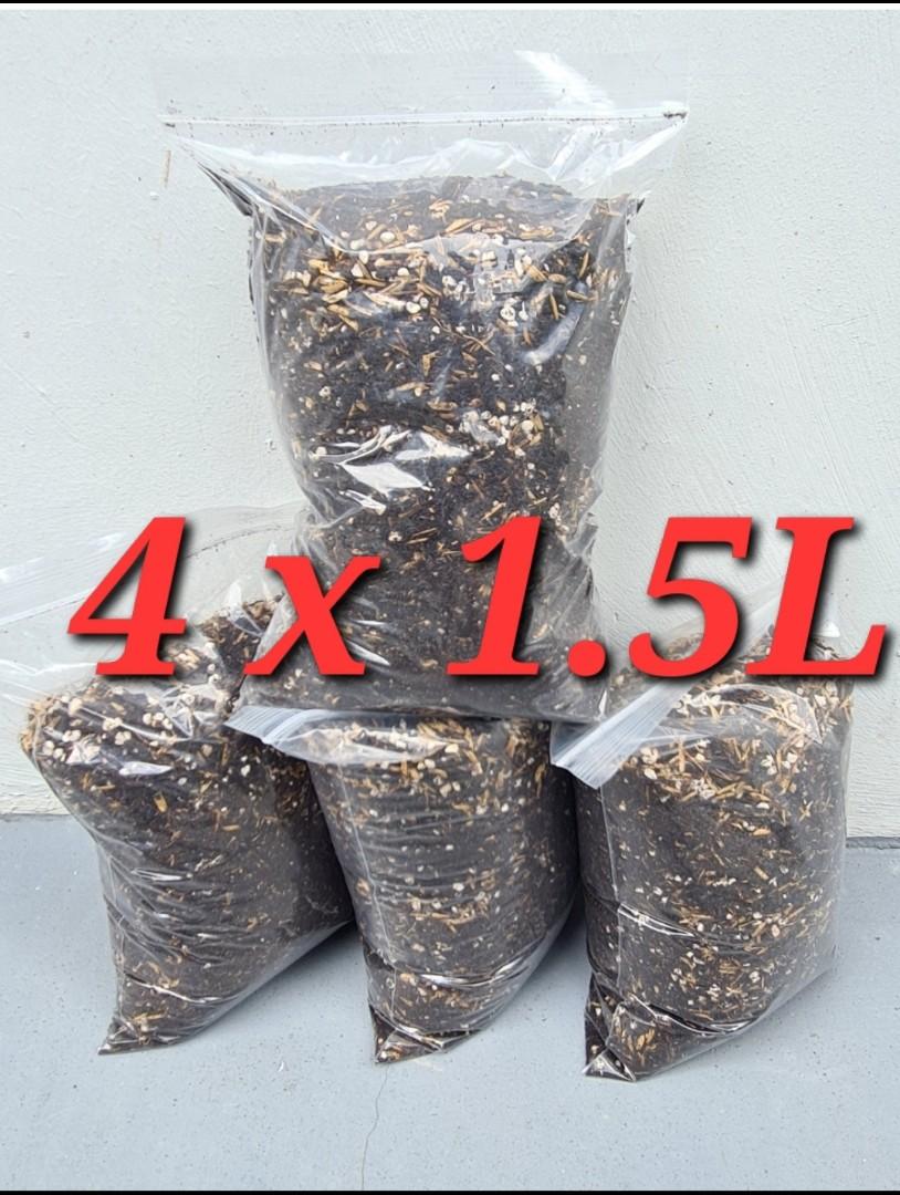 Aged Humus / Premium Compost Mix (4x1.5L Zip-Lock bag), Furniture ...