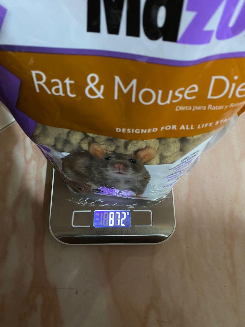 mazuri lab block, Pet Supplies, Pet Food on Carousell