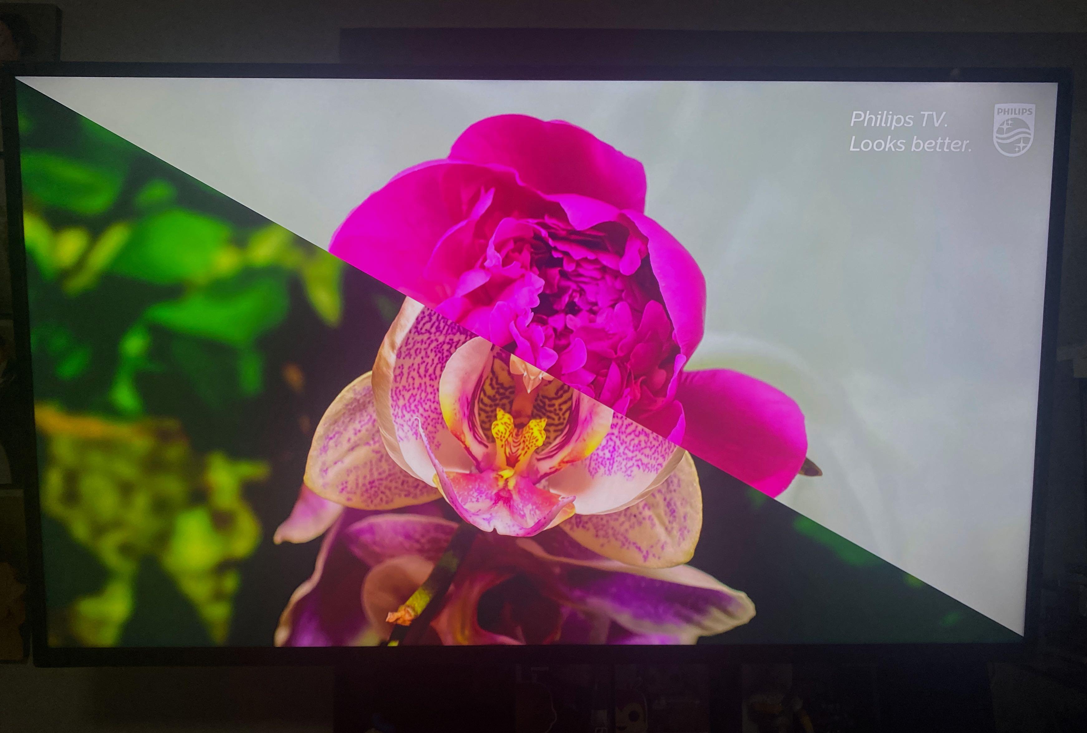 Philips 6100 Series 4k UHD Smart TV 50PUT6103, TV & Home Appliances, TV ...