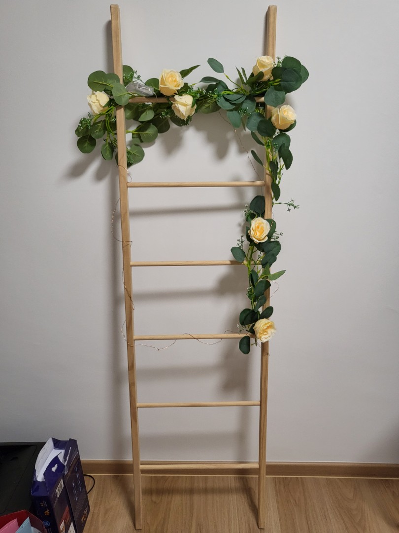 Rose ladder with fairy lights, Photography, Photography Accessories ...