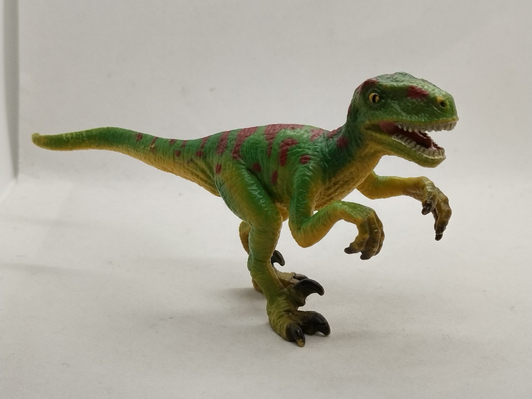 Schleich - Dinosaur - Velociraptor - Raptor on Carousell