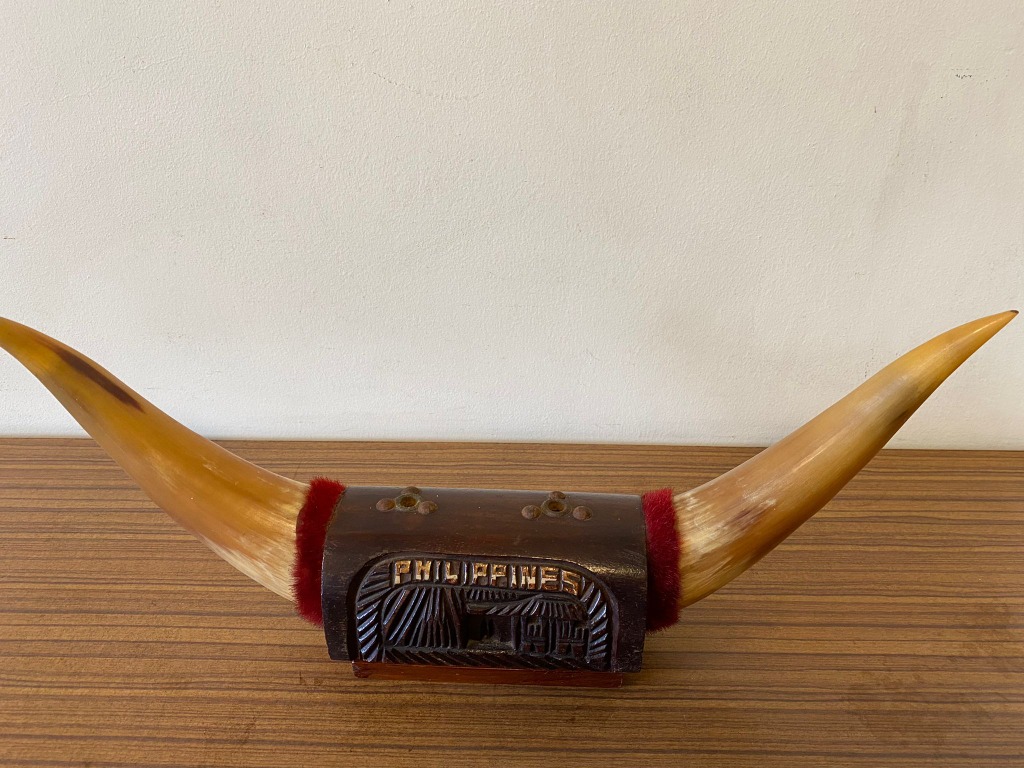 Cow Horn Display, Hobbies & Toys, Memorabilia & Collectibles, Vintage ...
