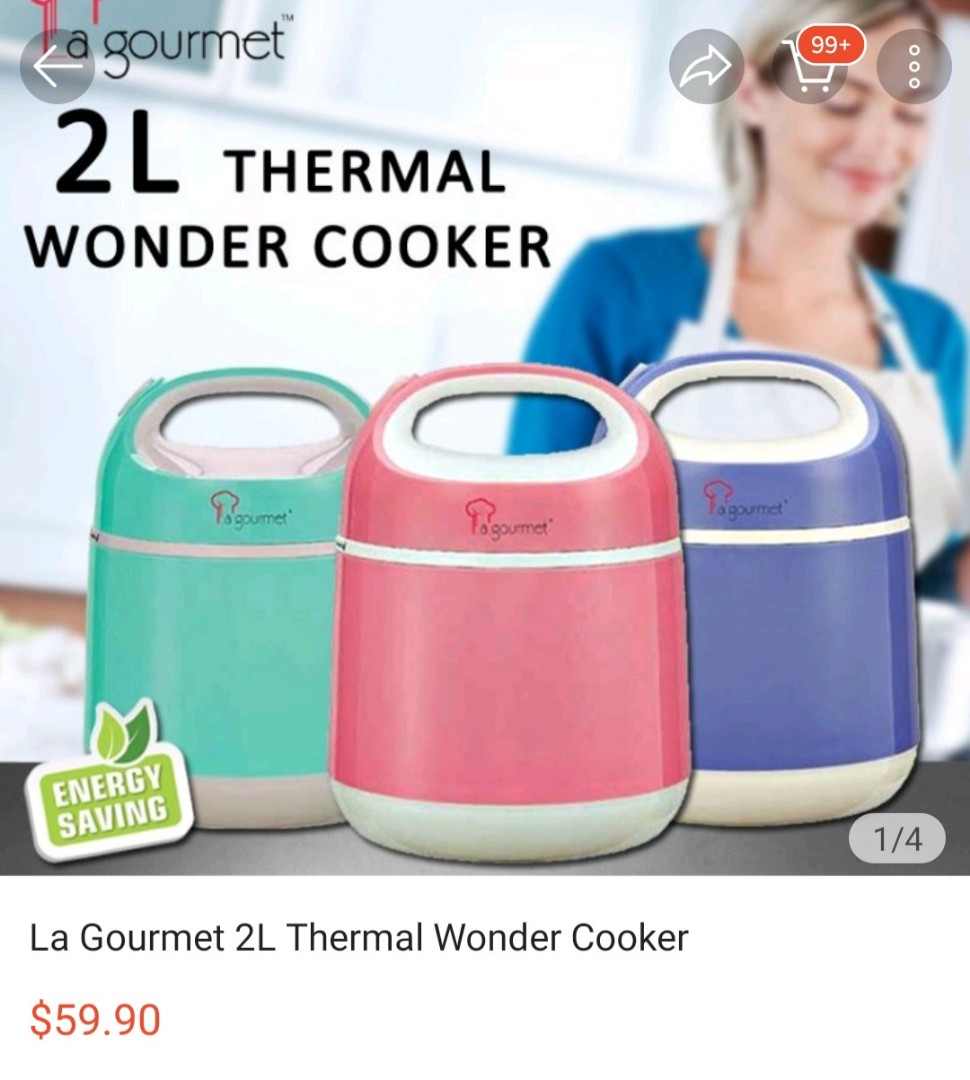 Gourmet 2LTR Thermal Wonder cooker, TV & Home Appliances, Kitchen ...