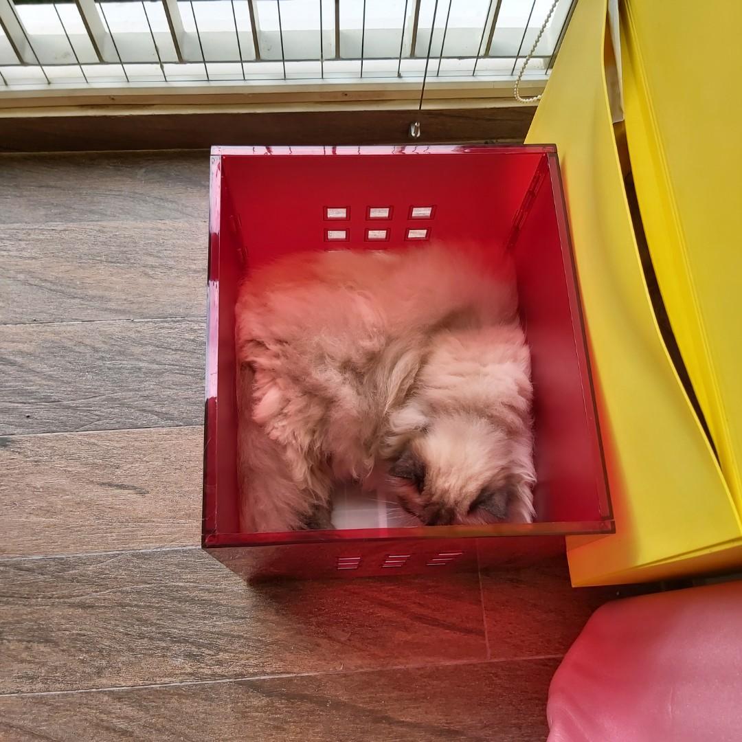 Ikea Lekman Red Cubic Box, Furniture & Home Living, Home Improvement ...