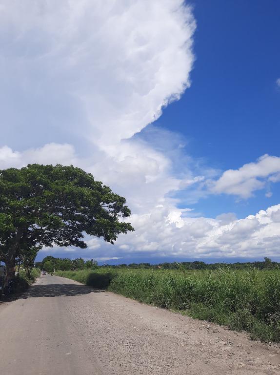 24,769 sqm Cabug Lot, Residential/Commercial, Barangay Cabug, Bacolod ...