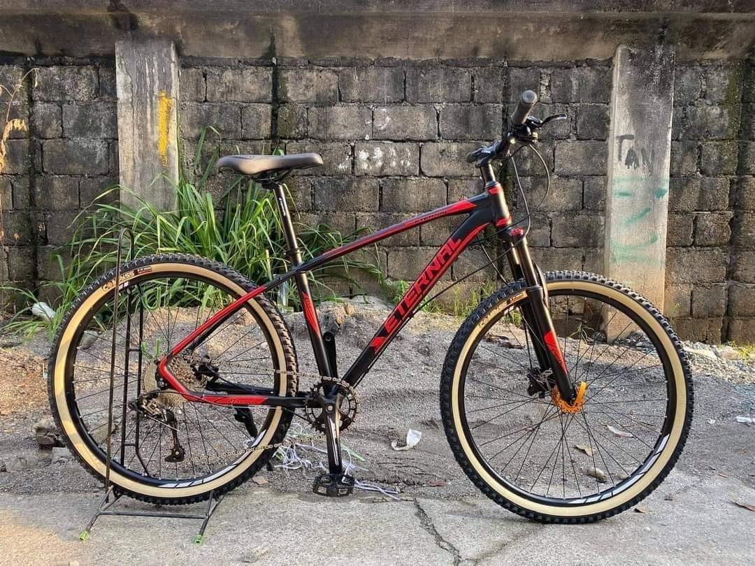 ETERNAL (1×10)All ALLOY HYDRAULIC 29er MOUNTAIN BIKE, Sports Equipment ...