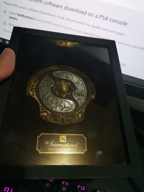 Dota 2 TI 2020 Aegis Replica, Video Gaming, Gaming Accessories ...
