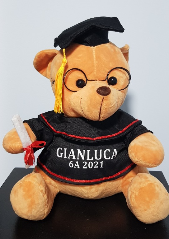 Graduation teddy bear (23cm). Personalised customised print. University ...