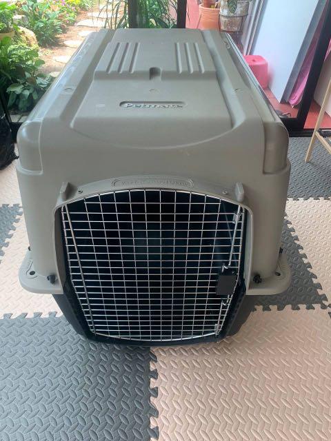 Petmate Crate, Pet Supplies, Homes & Other Pet Accessories on Carousell