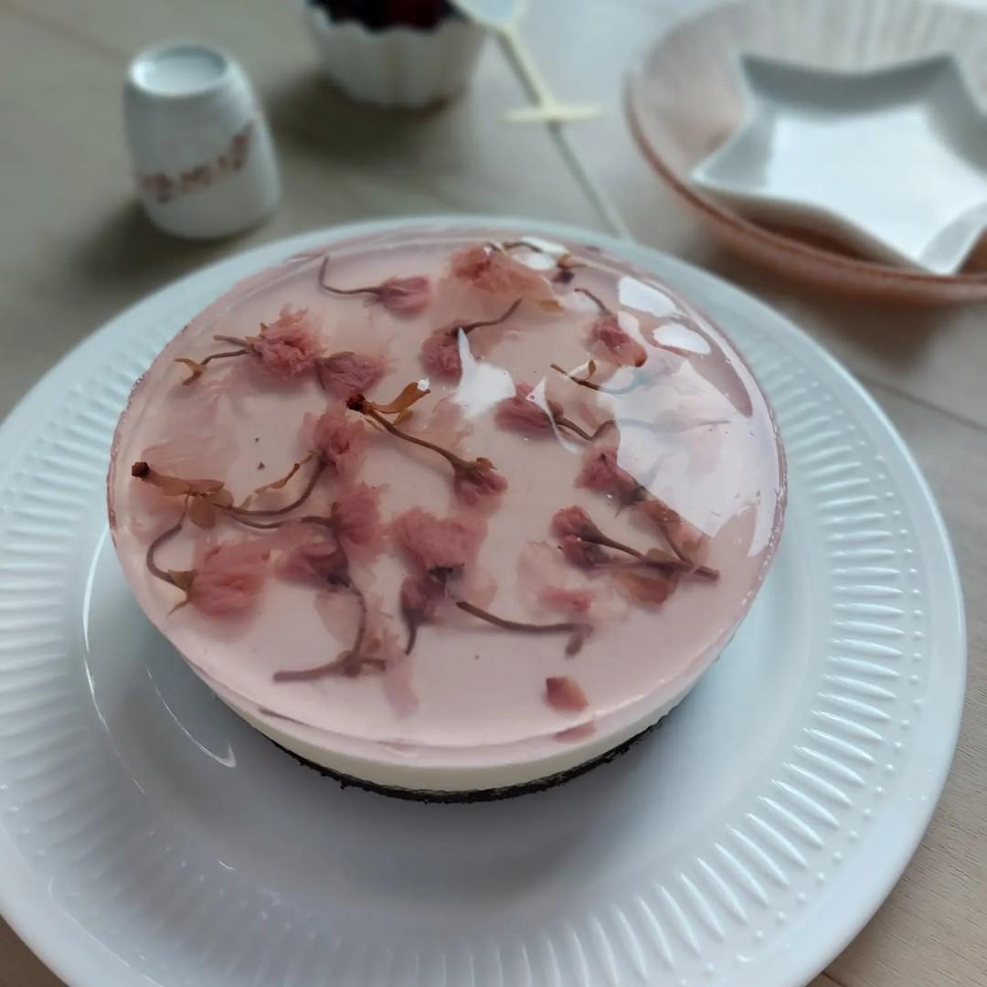 Sakura White Chocolate Mousse Tart/ Matcha Tiramisu/ Sakura White ...