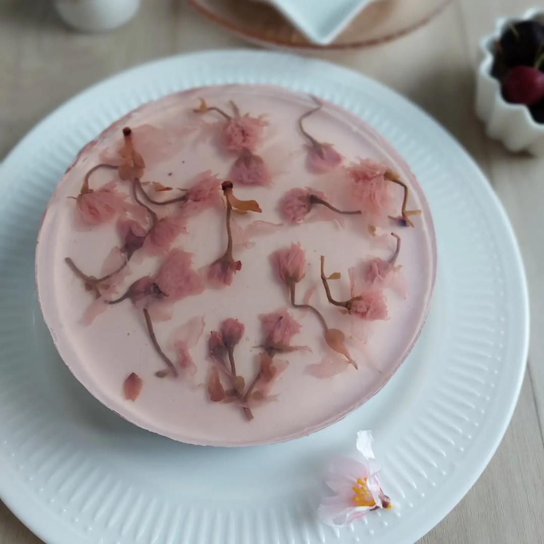 Sakura White Chocolate Mousse Tart/ Matcha Tiramisu/ Sakura White ...