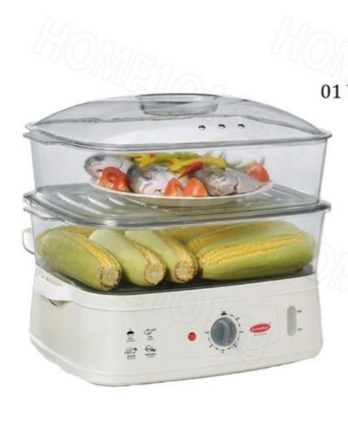 EuropAce 20L electric steamer, TV & Home Appliances, Kitchen Appliances ...