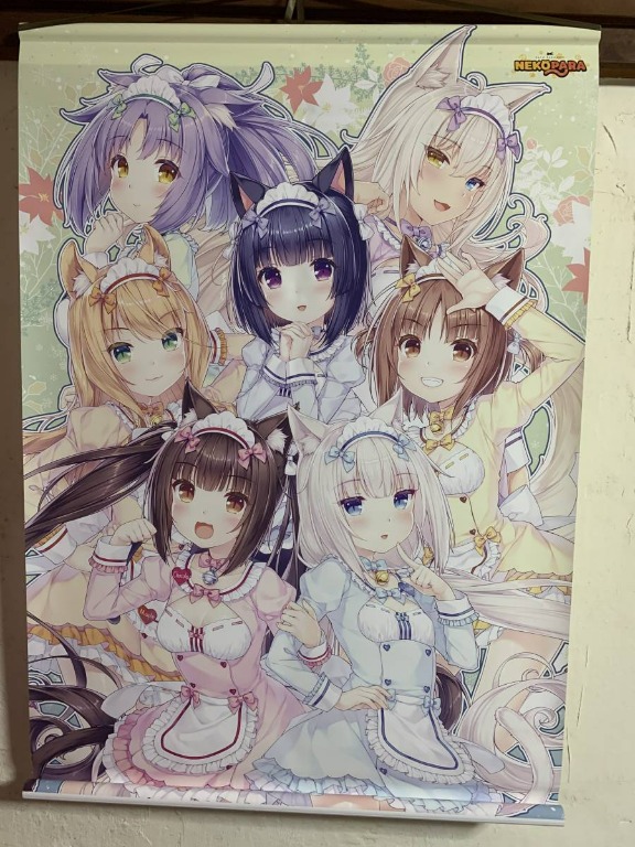 NEKO WORKs Nekopara vol.4 B2掛軸 台灣限定, 興趣及遊戲, 玩具 & 遊戲類 - Carousell