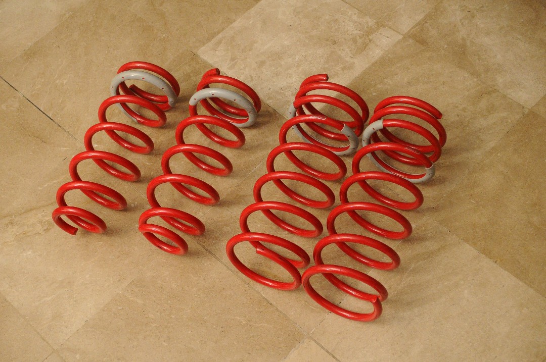 Tanabe DF210 Lowering Springs for Lexus LS400 (90-94), Car Parts ...