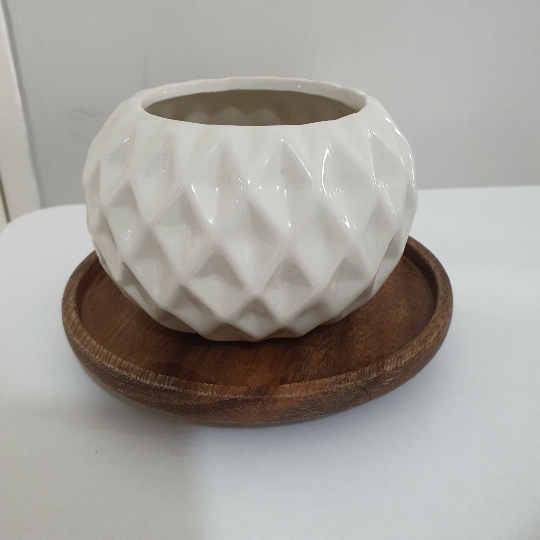 Durian Lovers Pot, Furniture & Home Living, Gardening, Pots & Planters ...