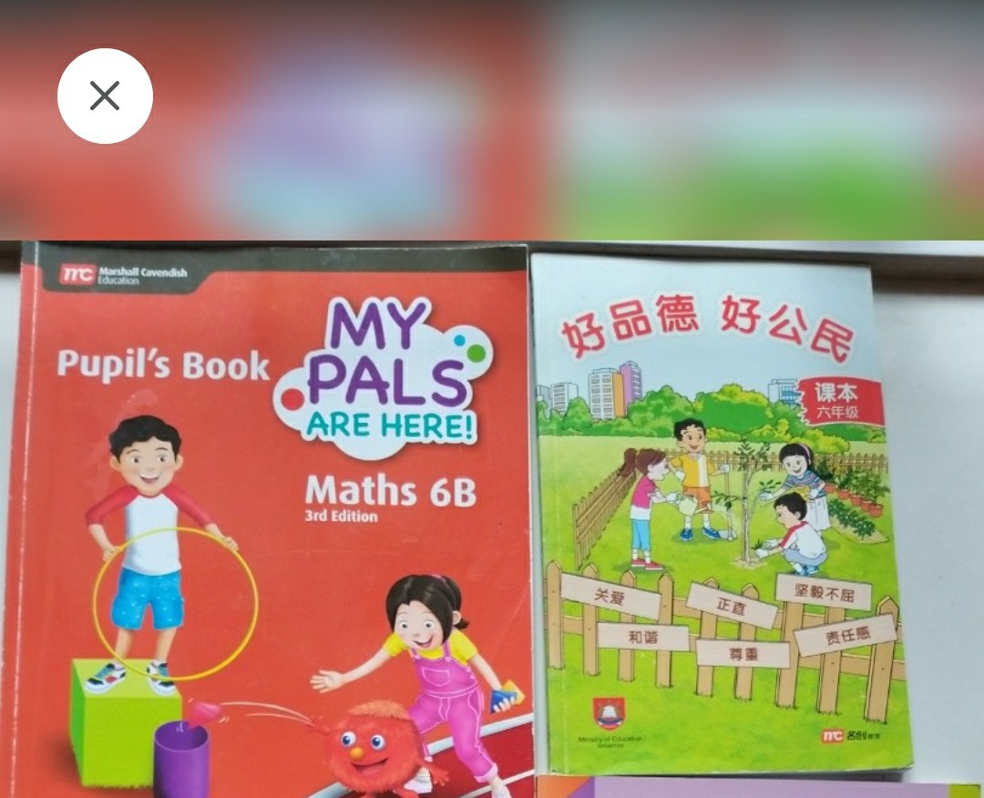 P6 textbook for chinese, maths, Hobbies & Toys, Books & Magazines ...