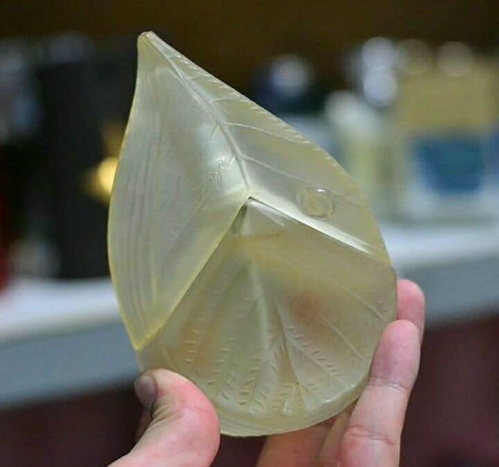 Parfum kenzo daun 50 ml, Kesehatan & Kecantikan, Parfum, Kuku & Lainnya ...