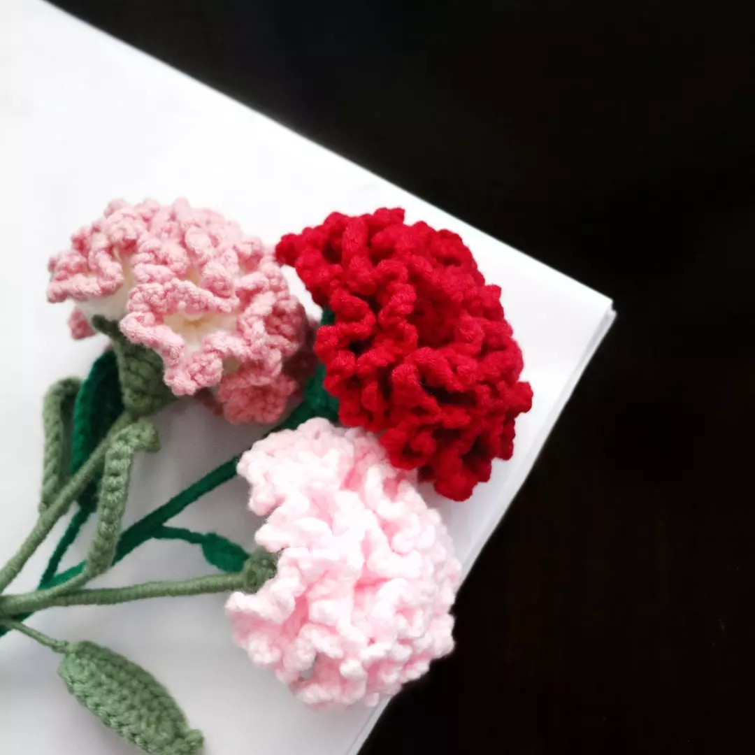 Crochet Carnations, Hobbies & Toys, Stationery & Craft, Handmade Craft ...