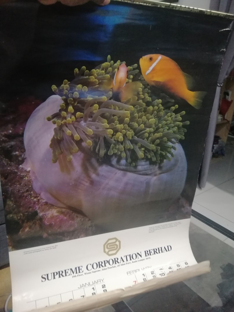 Kalendar tahun 1982, Hobbies & Toys, Collectibles & Memorabilia ...