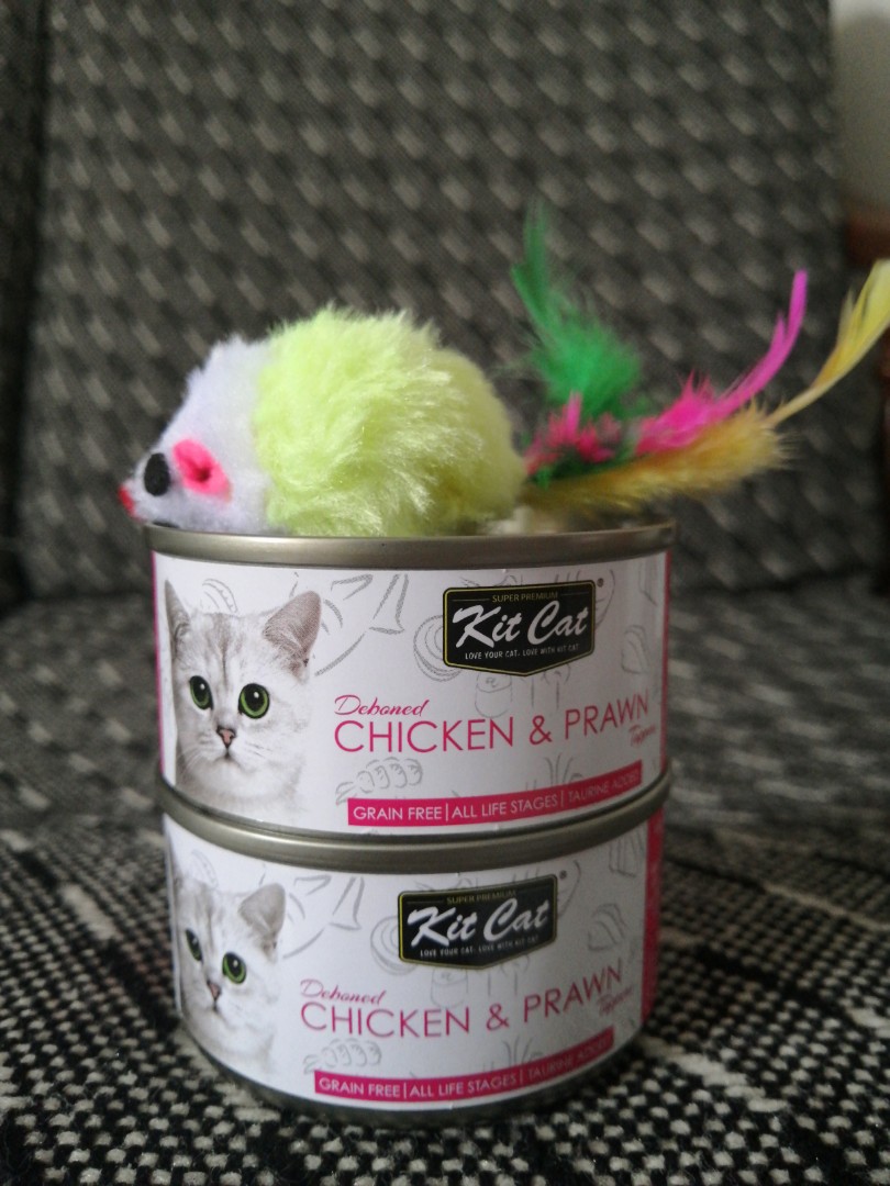 Kit Cat Chicken & Prawn wet food, Pet Supplies, Pet Food on Carousell