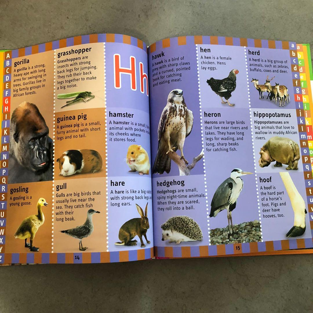 My First Animal Picture Dictionary, Hobbies & Toys, Books & Magazines ...