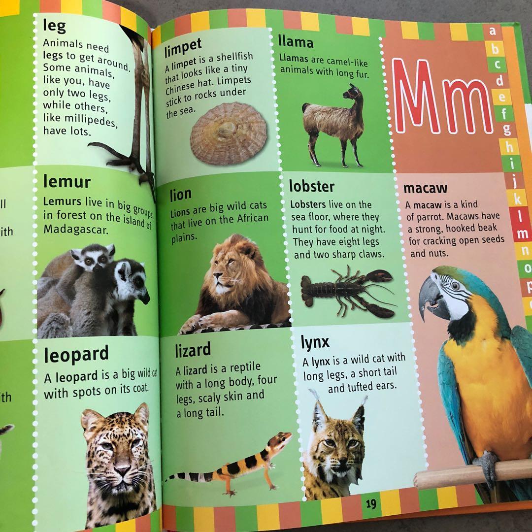 My First Animal Picture Dictionary, Hobbies & Toys, Books & Magazines ...