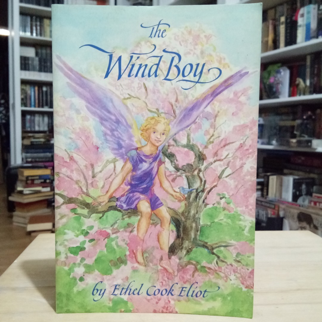 Wind Boy by Ethel Cook Eliot, Hobbies & Toys, Books & Magazines ...