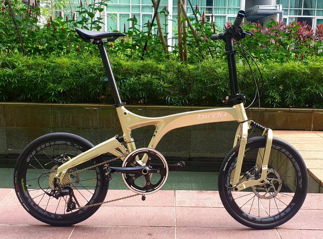 Birdy R20 - Champagne Gold (Foldable Folding Foldie Bicycle Bike ...