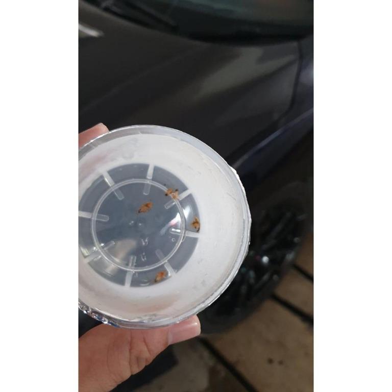 Car Fumigation Bomb Kit Pest Cockroach DIY, Furniture & Home Living ...