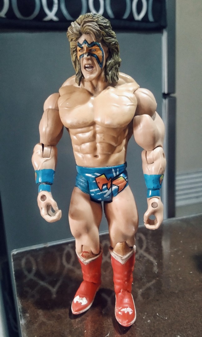 WWE Wrestling action figure, Hobbies & Toys, Toys & Games on Carousell