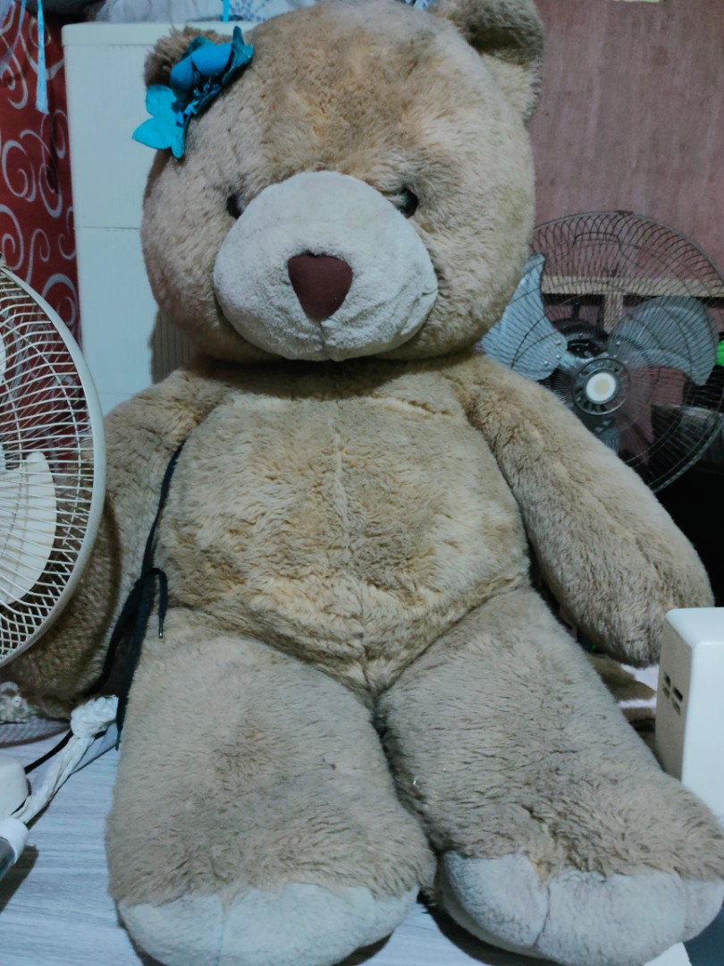Bear cuddler life size teddy bear, Hobbies & Toys, Toys & Games on ...
