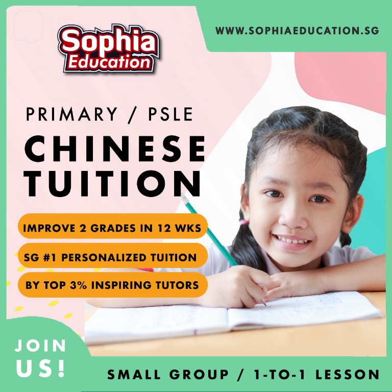 Chinese Language Tuition for Primary Level, Learning & Enrichment ...