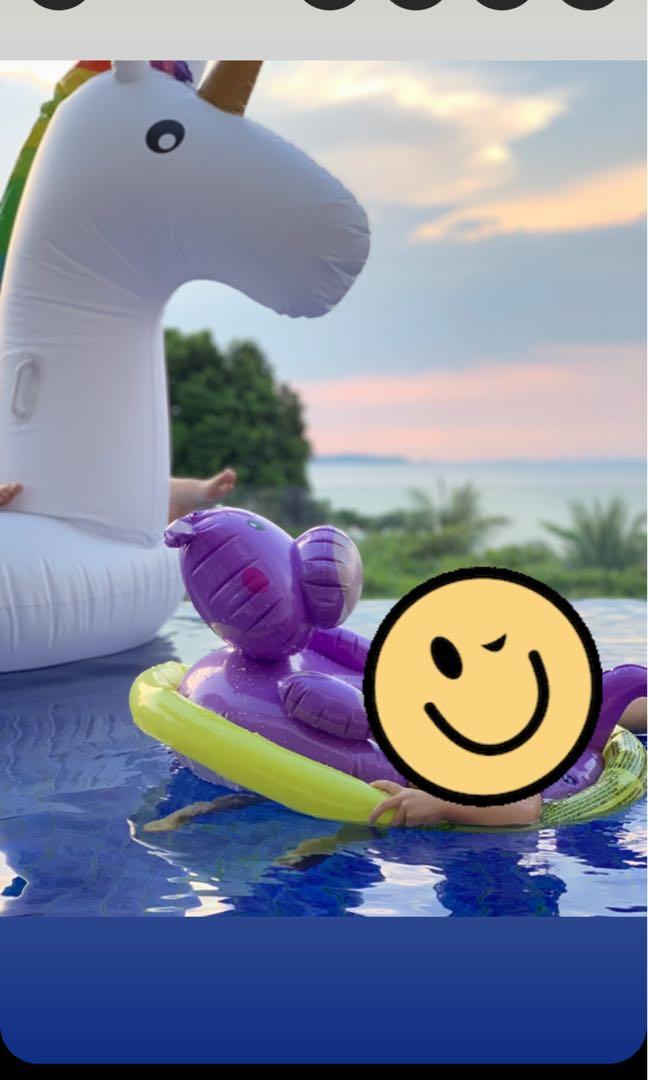 Hippo Swimming Float, Babies & Kids, Infant Playtime on Carousell
