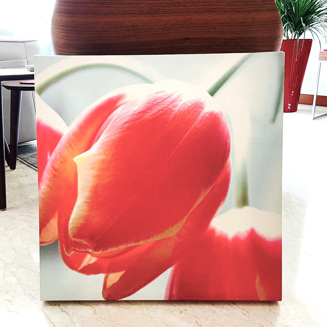 Borderless Picture, Furniture & Home Living, Home Decor, Frames ...