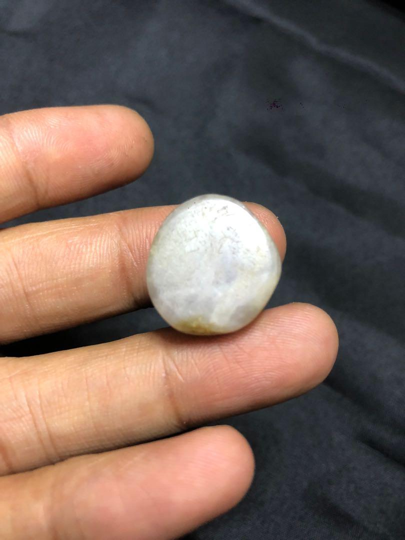 Buntat Mani Gajah, Everything Else, Others on Carousell