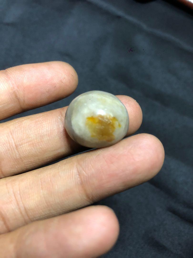 Buntat Mani Gajah, Everything Else, Others on Carousell