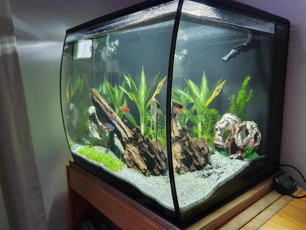 Aquarium Fluval Flex 15galw/ Stand Oceanic Bio Cube 14 Gal