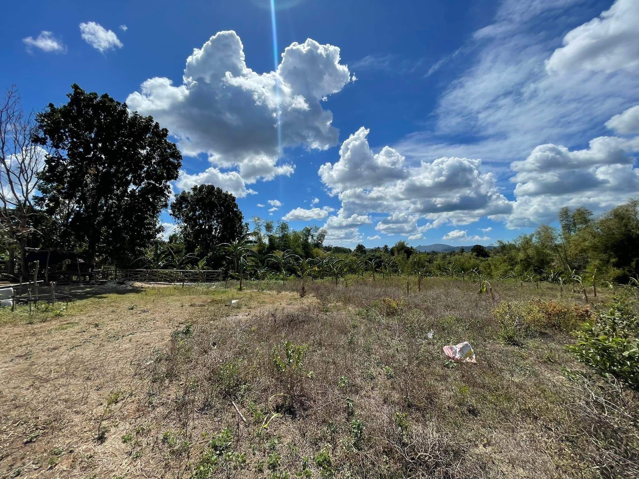 Agricultural Farm Lot For Sale Alfonso Cavite TITLED, Property, For ...