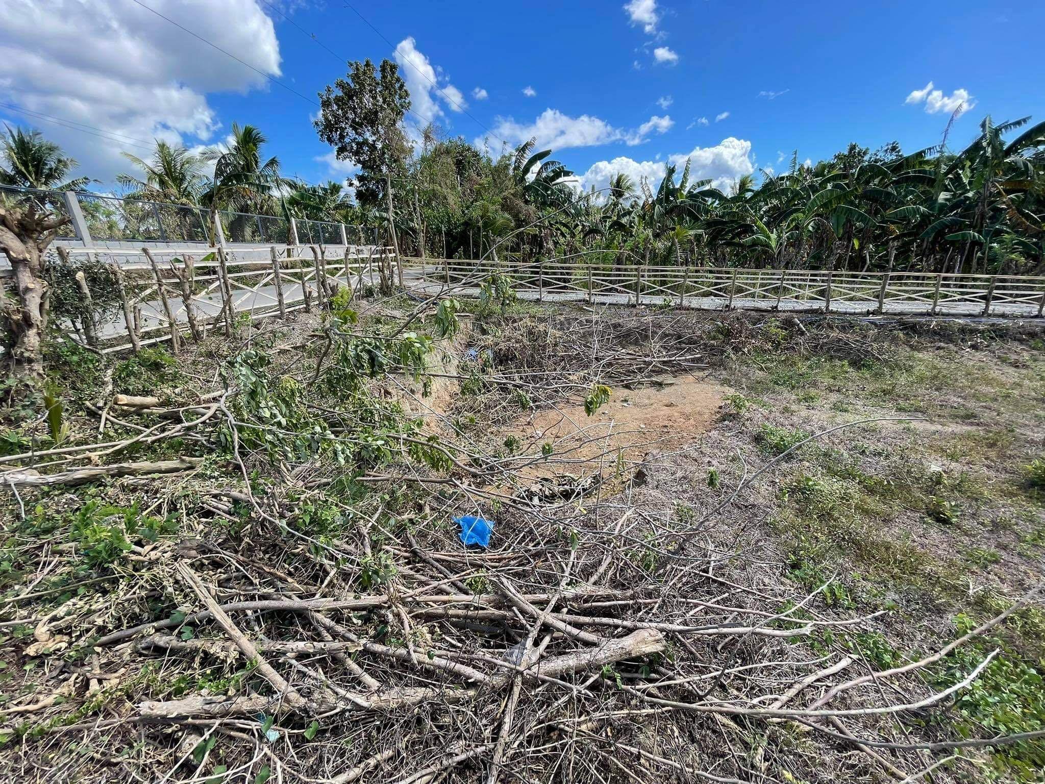 Agricultural Farm Lot For Sale Alfonso Cavite TITLED, Property, For ...