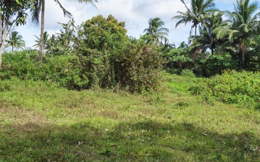 Farm Lot in Kaysuyo, Alfonso, Cavite Near Tagaytay, Property, For Sale, Lot on Carousell