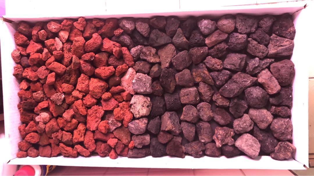 Lava rock / volcano rock, Pet Supplies, Homes & Other Pet Accessories ...
