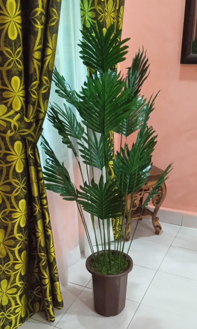 Pokok viral, Furniture & Home Living, Home Decor, Artificial Plants ...