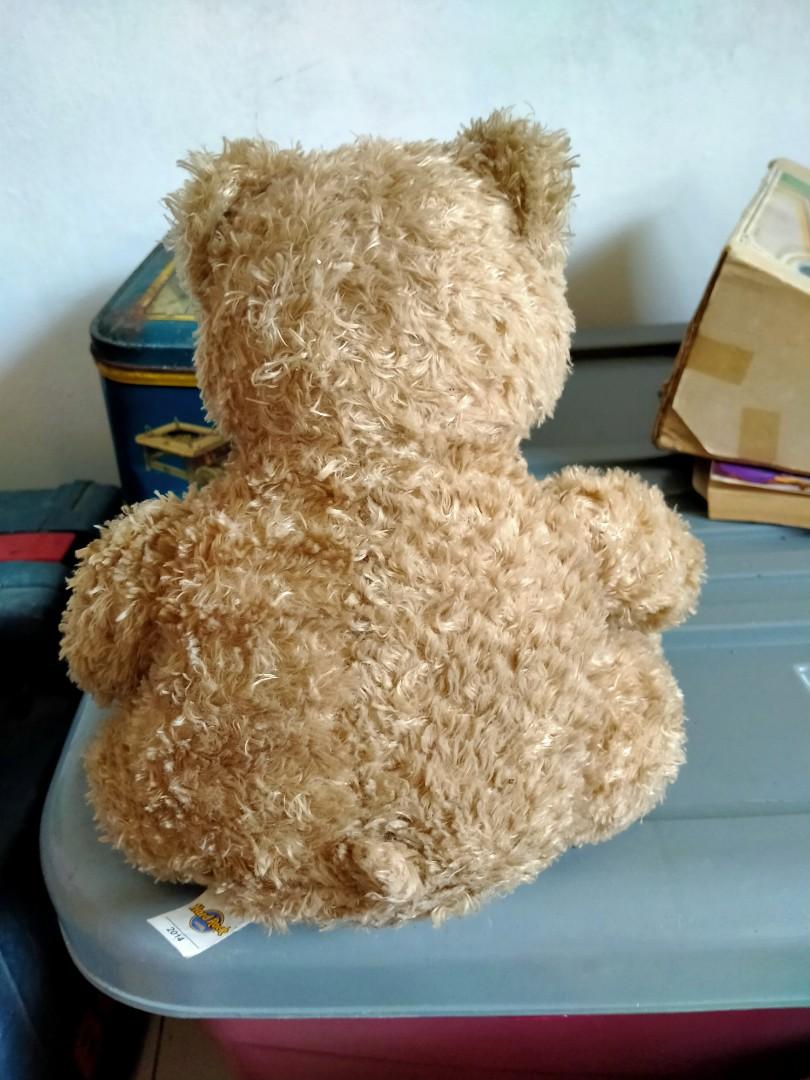 teddy bear hard rock, Hobbies & Toys, Toys & Games on Carousell