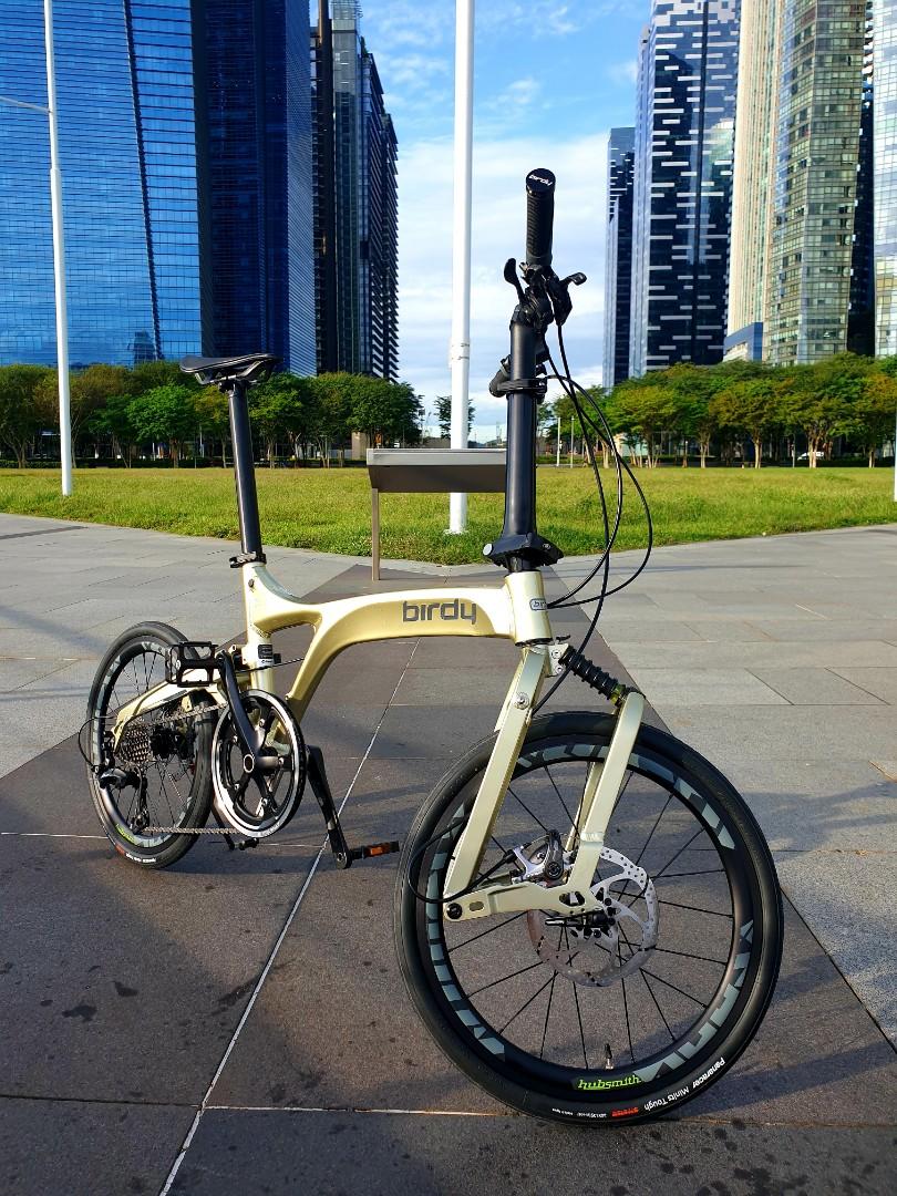 Birdy R20 - Champagne Gold (Foldable Folding Foldie Bicycle Bike ...